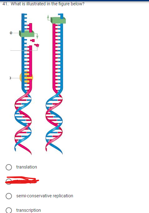 Solved What is illustrated in the figure | Chegg.com