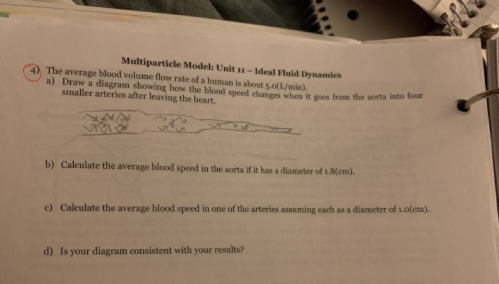 Solved Multiparticle Model: Unit 11 - Ideal Fluid Dynamics | Chegg.com