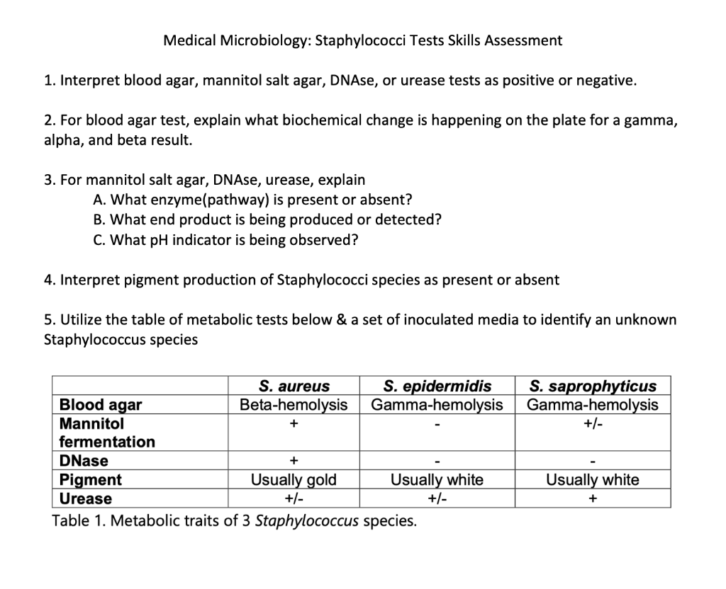 Solved Medical Microbiology: Staphylococci Tests Skills | Chegg.com