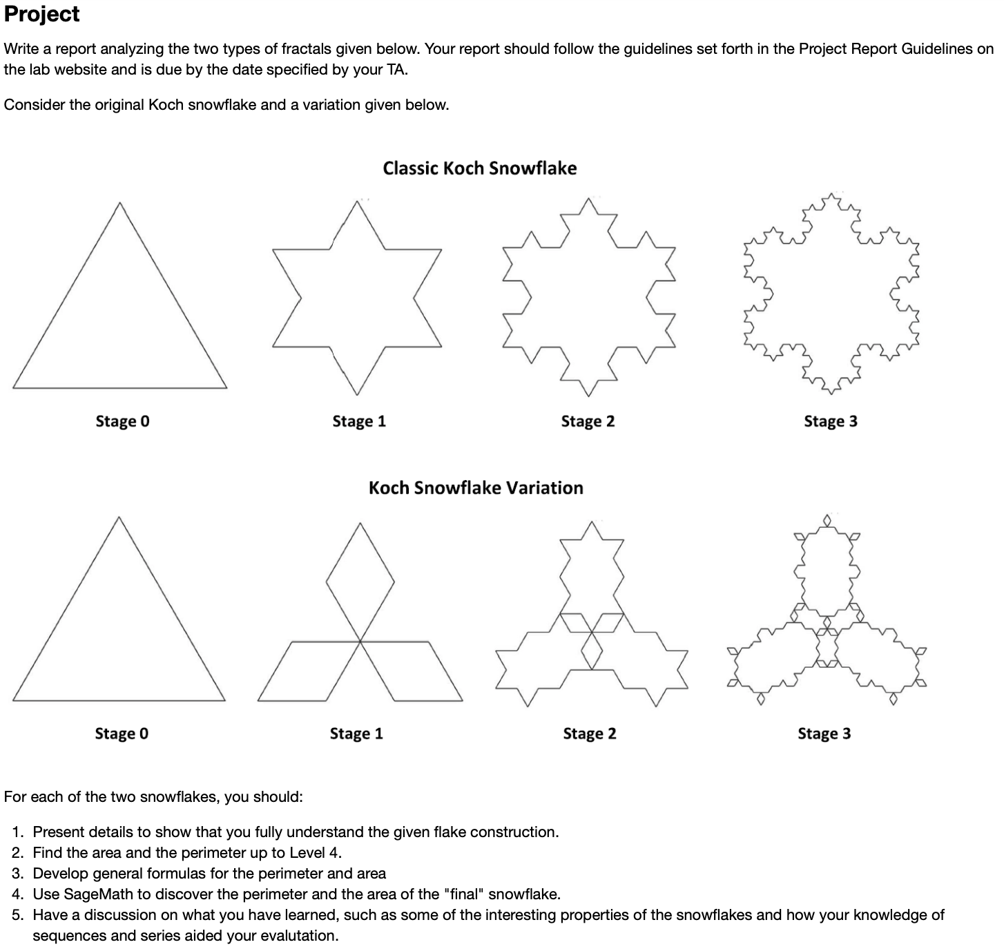 Write a report analyzing the two types of fractals | Chegg.com