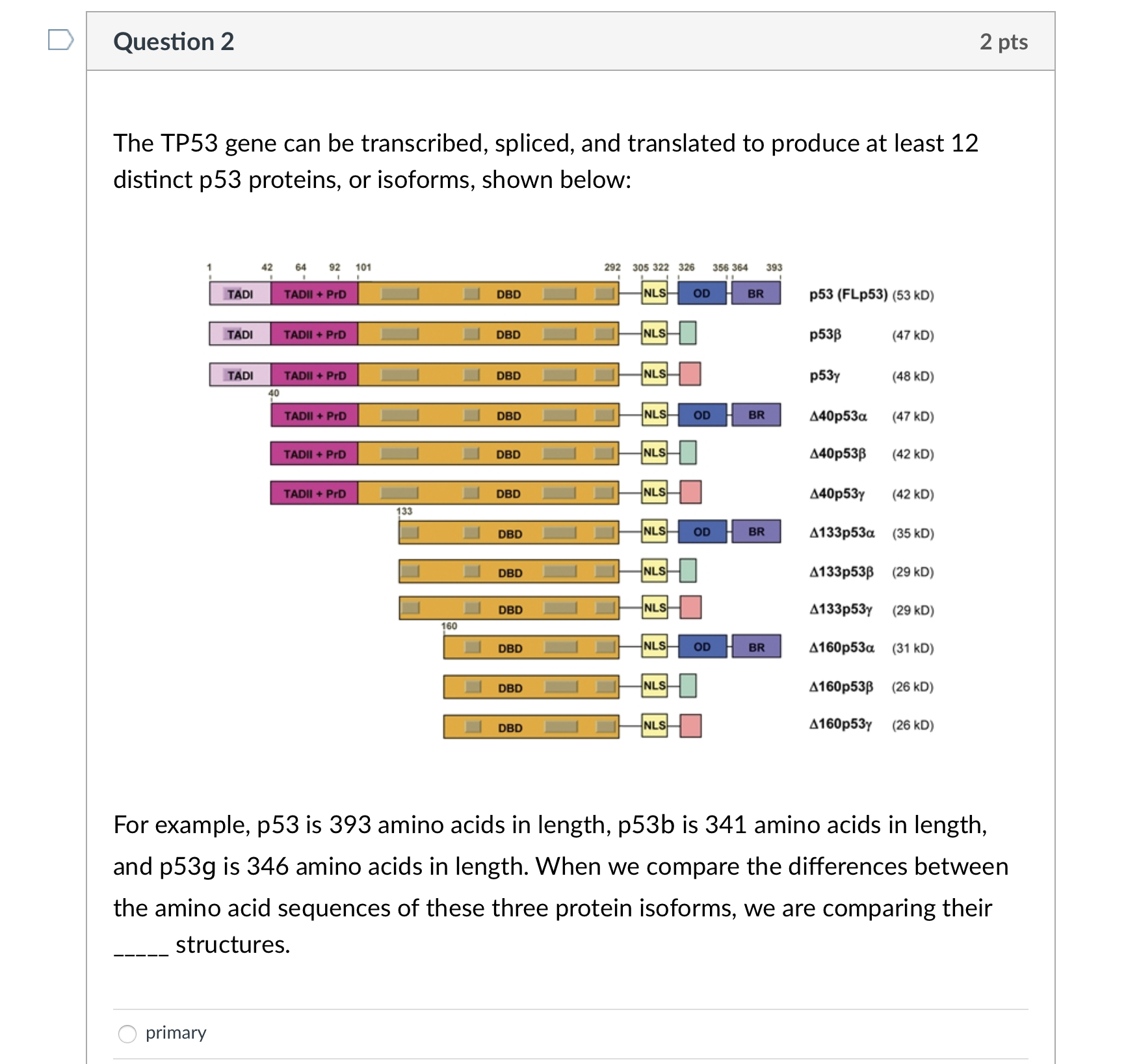 Solved Four p53 proteins interact to form the larger, | Chegg.com