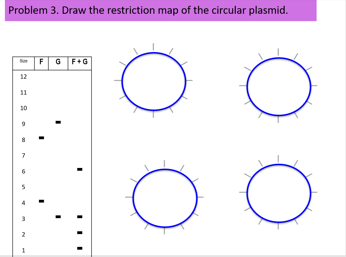 Solved Problem 2. Draw the restriction map of the circular | Chegg.com