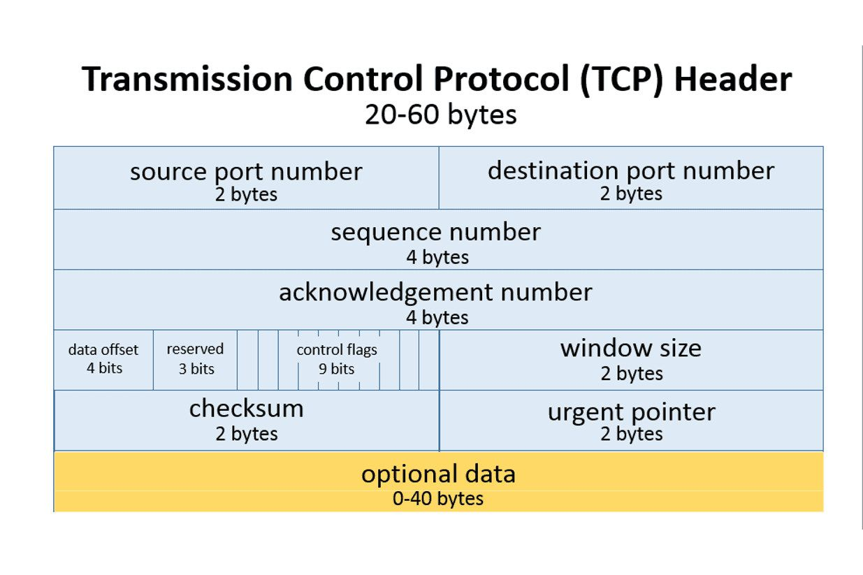 Solved Transmission Control Protocol Transport Layer What is | Chegg.com