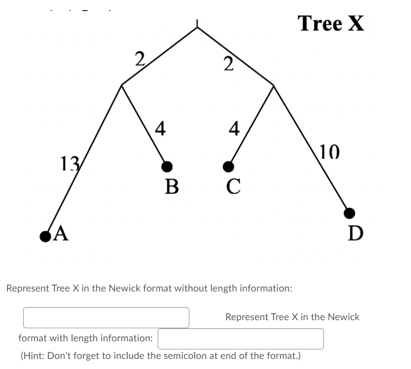 Solved Tree X 2 2 4 4 10 13 B C SA D Represent Tree X in the | Chegg.com