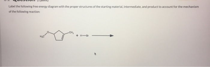 Solved Label the following free energy diagram with the | Chegg.com