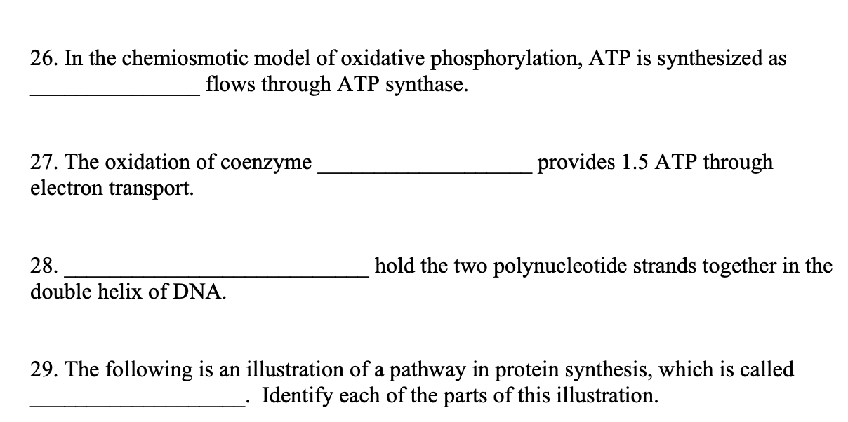 Solved 26. In the chemiosmotic model of oxidative | Chegg.com