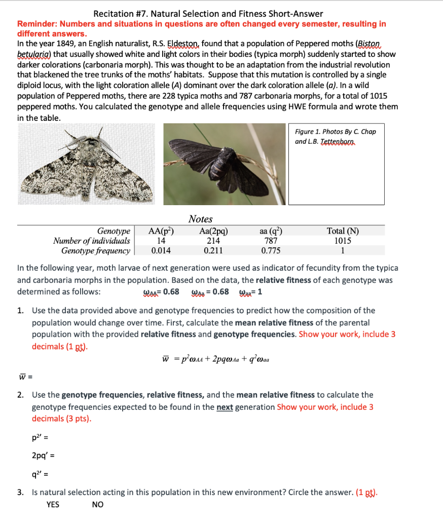 Solved Recitation \#7. Natural Selection and Fitness | Chegg.com