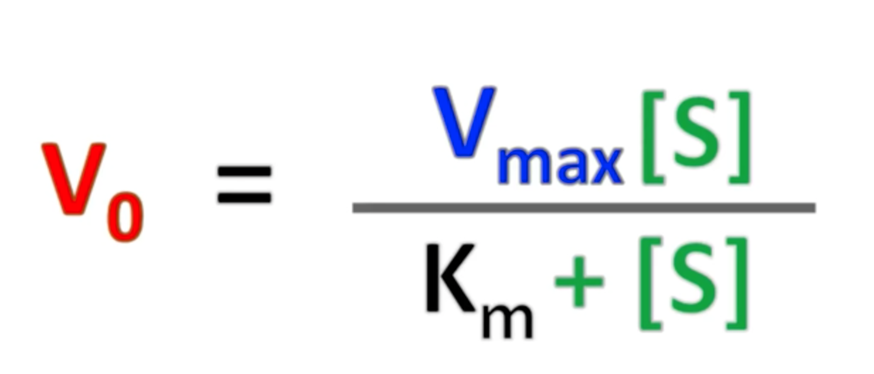 Solved V₂ || Vmax [S] Km + [S] | Chegg.com