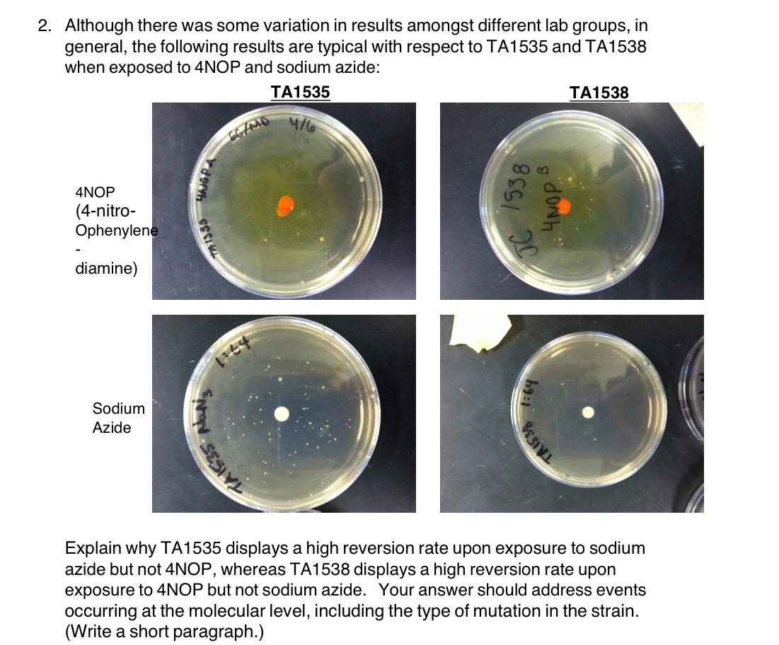 2. Although there was some variation in results | Chegg.com