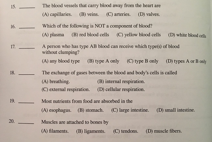 Solved The blood vessels that carry blood away from the | Chegg.com