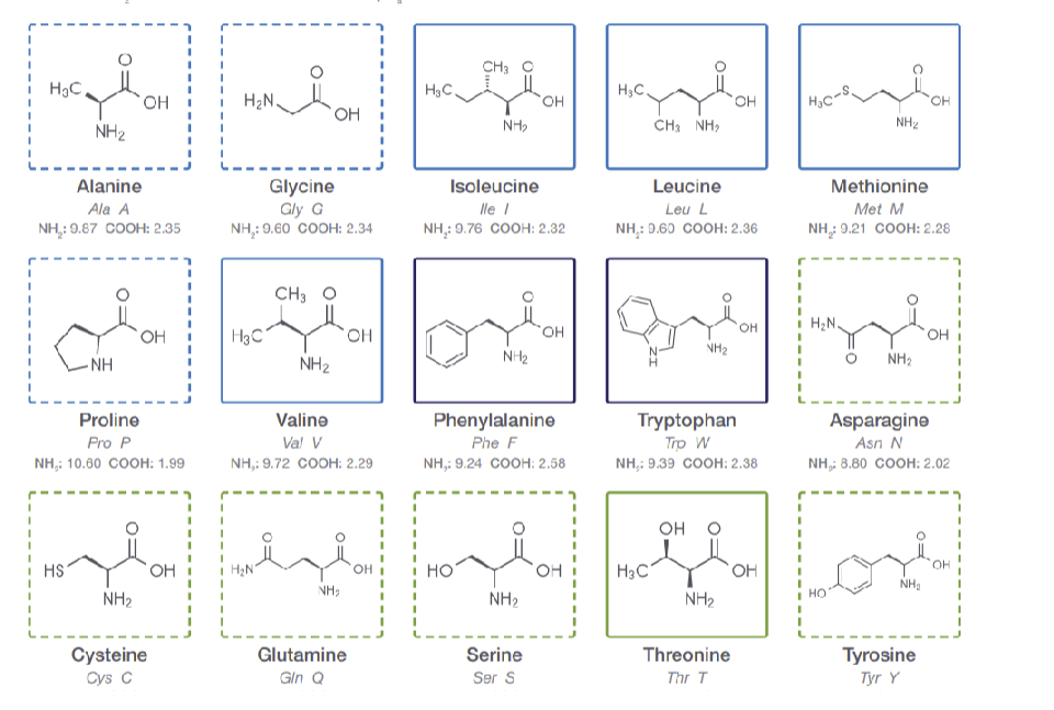 Solved Discussion-7 1. a. Draw the peptide sequence, | Chegg.com