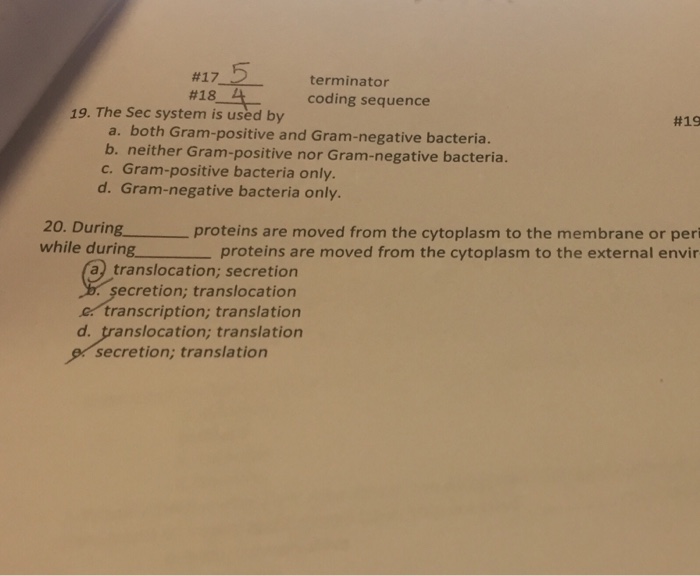 Solved Order the following regions of a gene from the most | Chegg.com