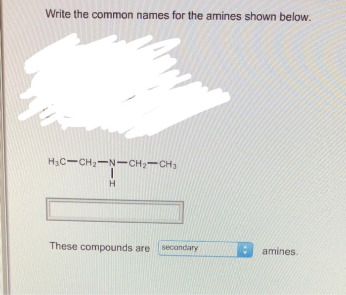 Solved Write the common names for the amines shown below. | Chegg.com
