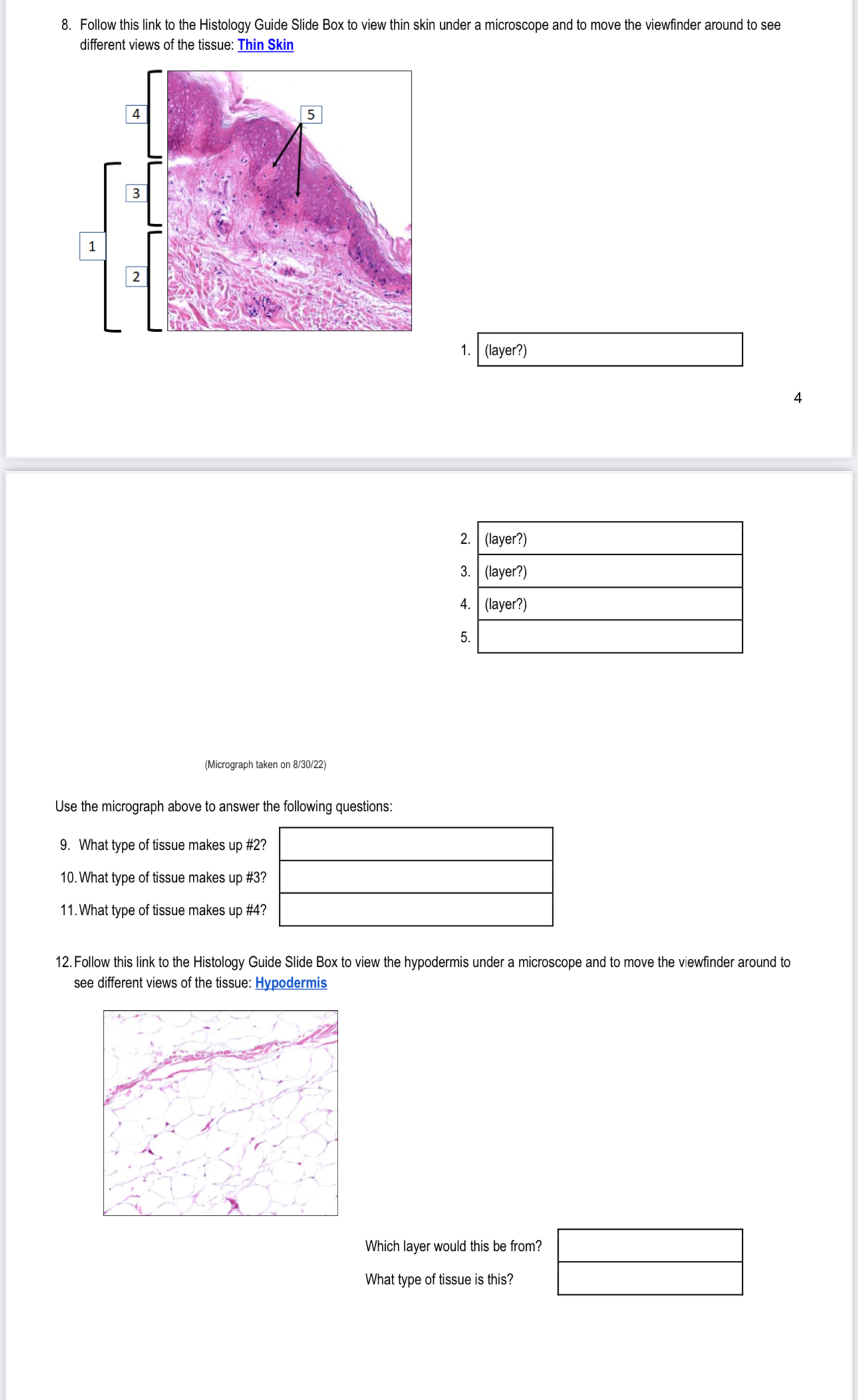 Solved 8. ﻿Follow this link to the Histology Guide Slide Box | Chegg.com