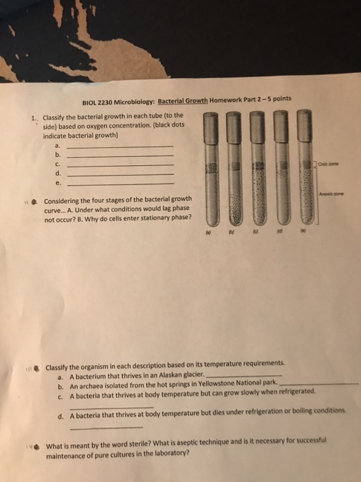 Solved BIOL 2230 Microbiology: Bacterial Growth Homework | Chegg.com