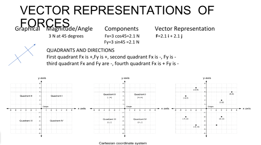 Solved VECTOR REPRESENTATIONS OF FORCES Vector | Chegg.com