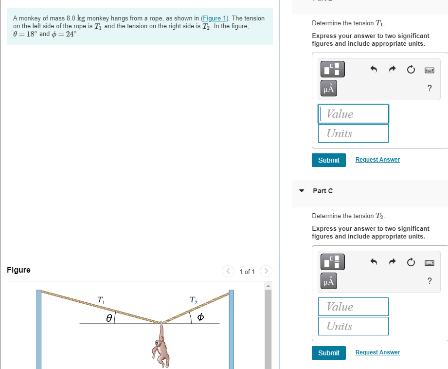 Solved A monkey of mass 8.0 kg monkey hangs from a rope, as | Chegg.com