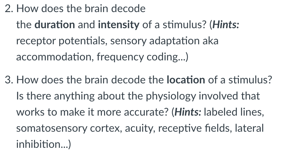 Solved 2. How does the brain decode the duration and | Chegg.com