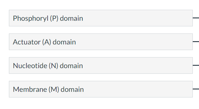 Solved Phosphoryl (P) domain Actuator (A) domain Nucleotide | Chegg.com