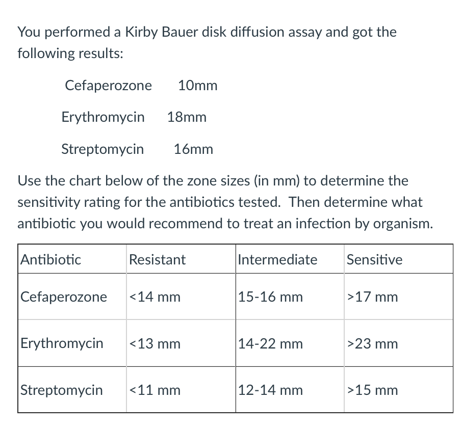 Solved You performed a Kirby Bauer disk diffusion assay and | Chegg.com Solved You performed a Kirby Bauer disk diffusion assay and | Chegg.com