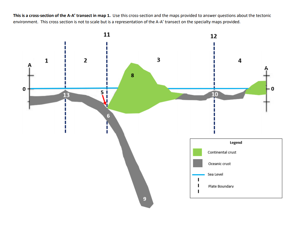 Solved This is a cross-section of the A-A' transect in map | Chegg.com
