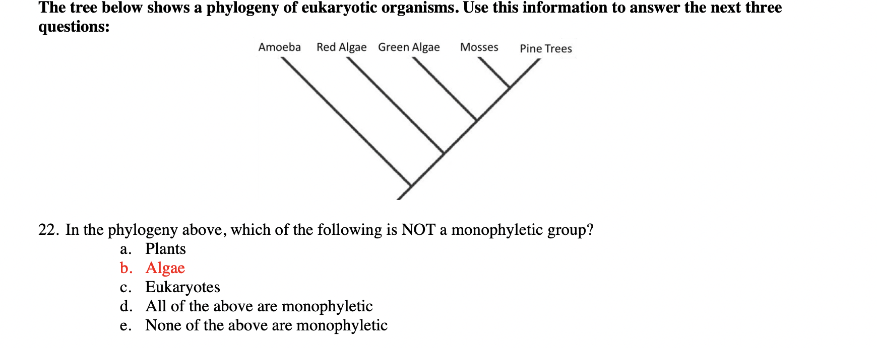 Solved 22. In the phylogeny above, which of the following is | Chegg.com