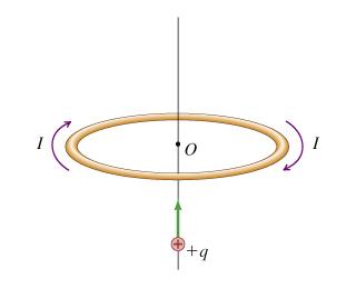 Solved A circular loop of wire lies in a horizontal plane | Chegg.com