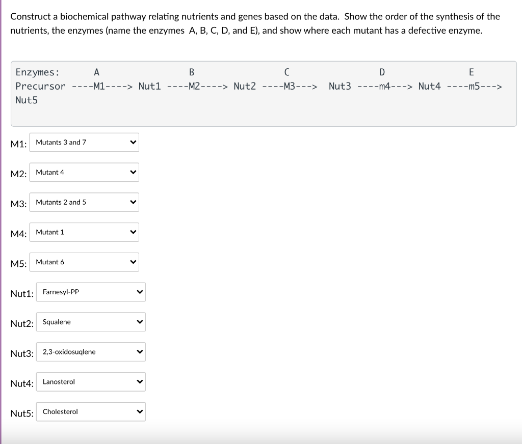 Construct a biochemical pathway relating nutrients | Chegg.com