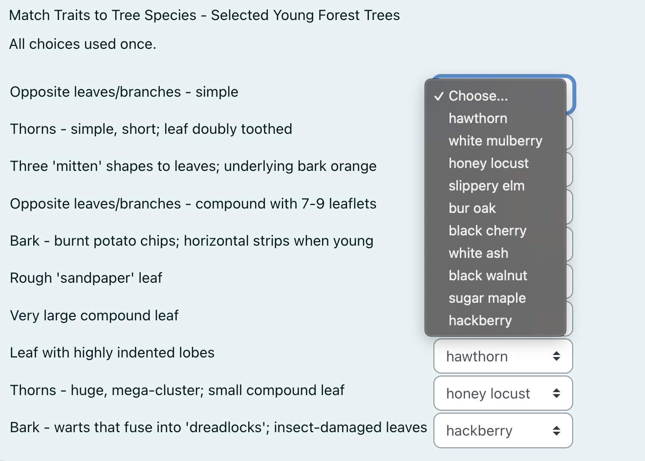 Solved Match Traits to Tree Species - Selected Young Forest | Chegg.com
