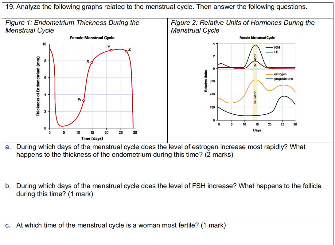 Solved 19. Analyze the following graphs related to the | Chegg.com