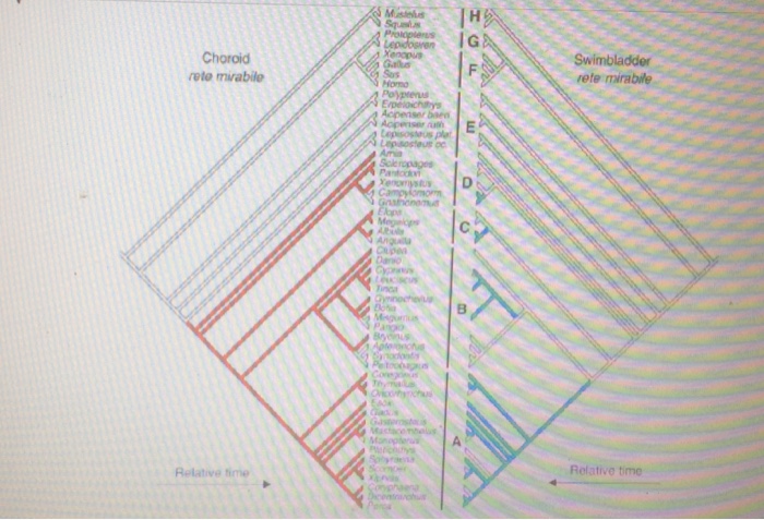Solved I need help with questions 7 and 8 I think what I | Chegg.com