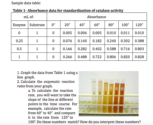 Solved Sample data table: Table 1- Absorbance data for | Chegg.com