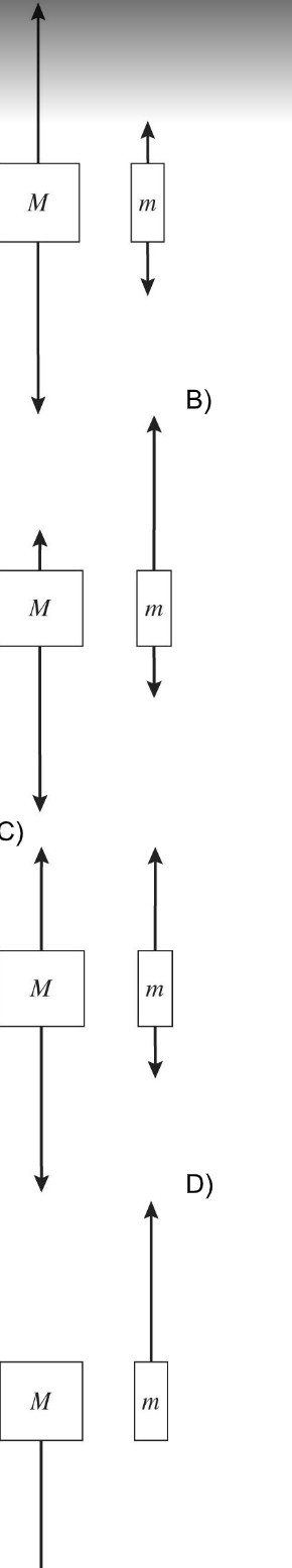 Solved 11) Two objects of unequal masses, M and m (M> m), | Chegg.com