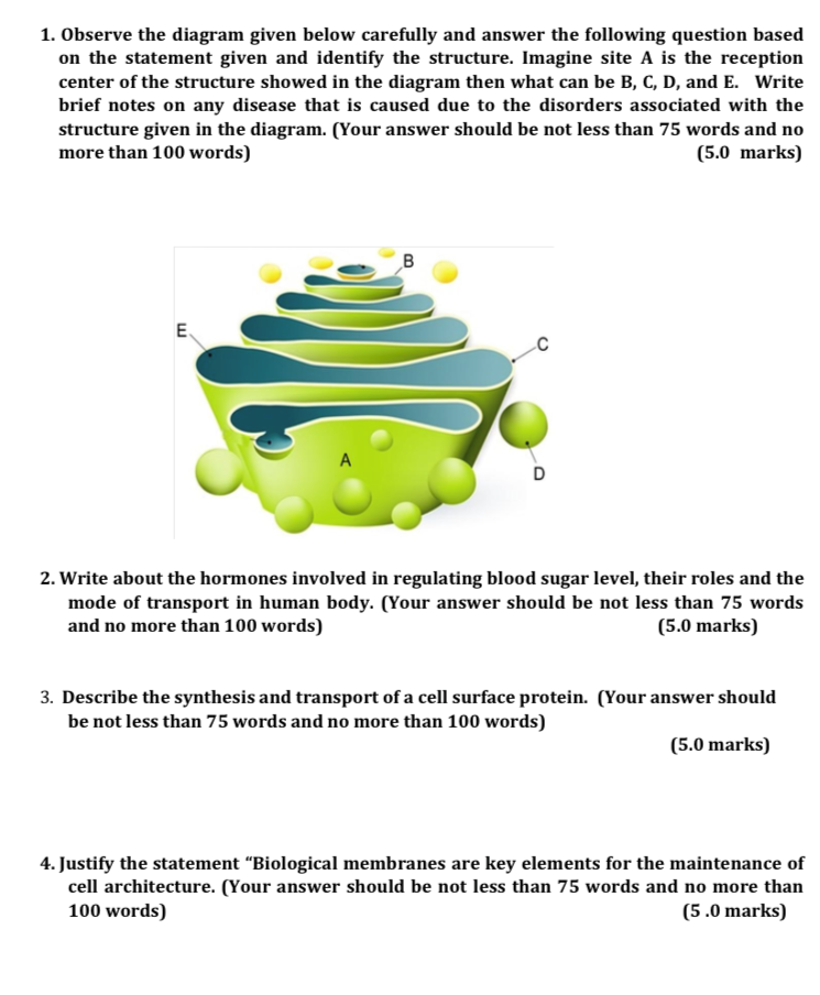 Solved 1. Observe the diagram given below carefully and | Chegg.com