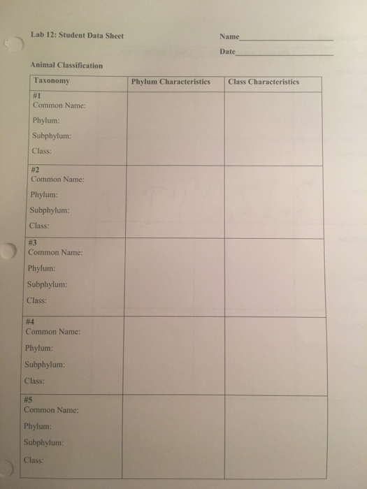 Solved Lab 12: Student Data Sheet Name Date Animal | Chegg.com