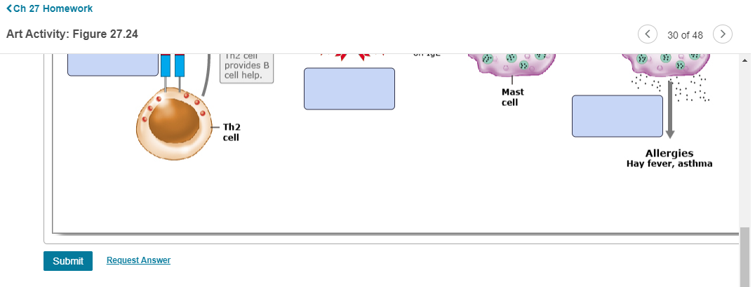 Solved 1 Review Immediate hypersensitivity reactions are | Chegg.com