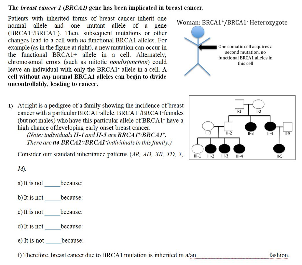 Solved The breast cancer 1 (BRCA1) gene has been implicated | Chegg.com