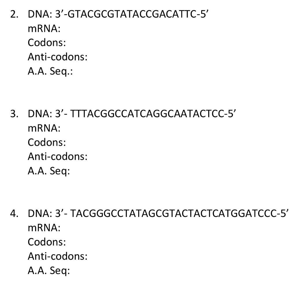 Solved 2. DNA: 3'-GTACGCGTATACCGACATTC-5' mRNA: Codons: | Chegg.com