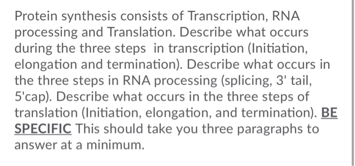 Solved Protein synthesis consists of Transcription, RNA | Chegg.com