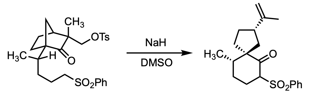 Solved DMSO NaH | Chegg.com
