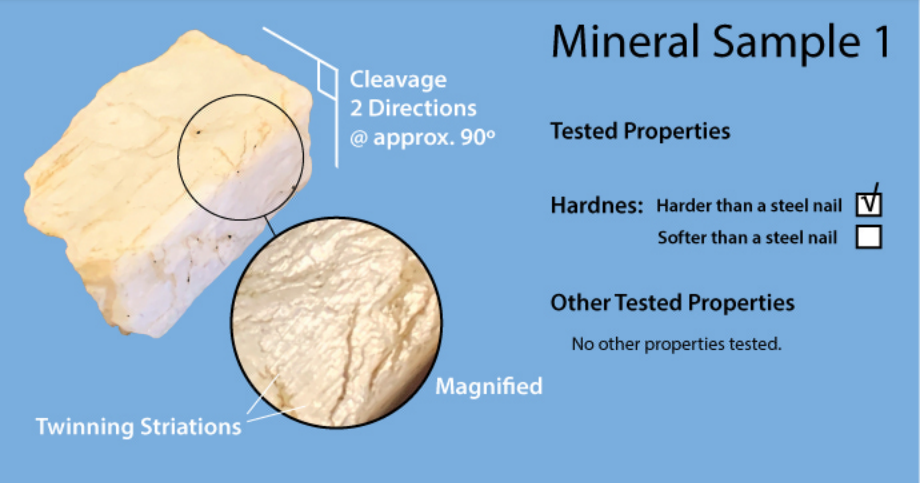 Solved Please fill in table below based on the images of the | Chegg.com