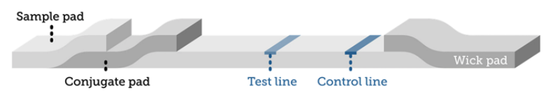 Solved The dimensions of the test line in the device | Chegg.com
