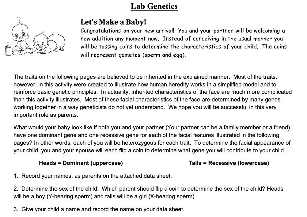 Solved Lab Genetics Let's Make a Baby! Congratulations on | Chegg.com