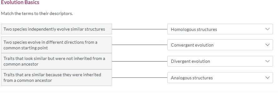 Solved Evolution Basics Match the terms to their | Chegg.com
