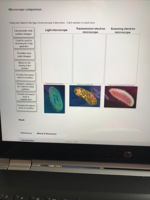 Solved Drag each label to the type of microscope it | Chegg.com
