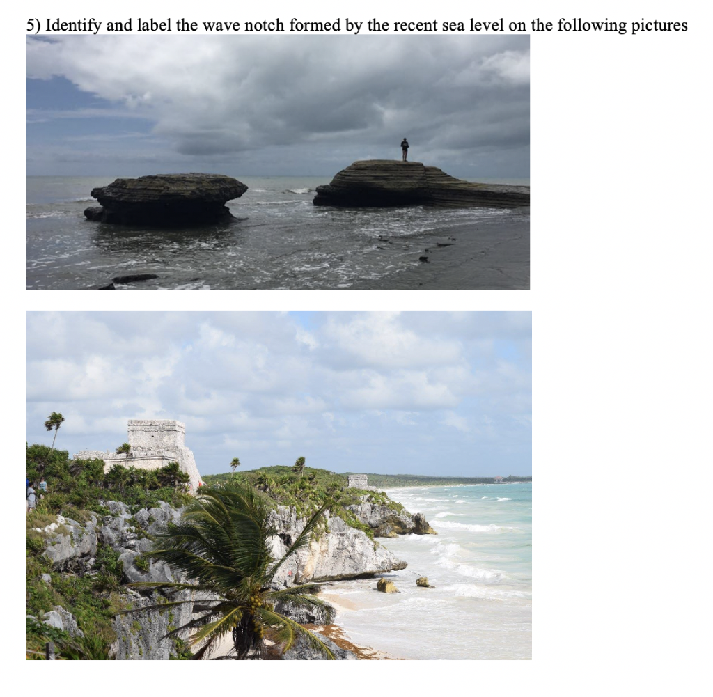 Solved 5) Identify and label the wave notch formed by the | Chegg.com