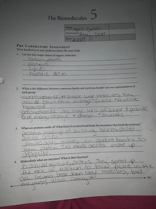 Solved 5 The Biomolecules Name Instructor Dalal | Chegg.com