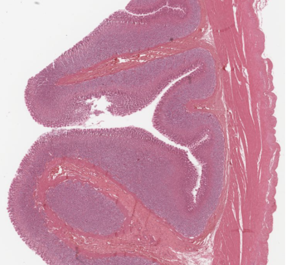 Solved need helping in labeling the following (this is an | Chegg.com