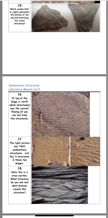 Solved LAB EXERCISES Using the sedimentary structures | Chegg.com