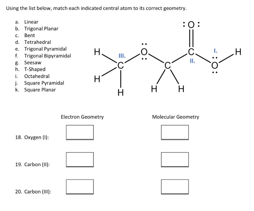 Solved Using the list below, match each indicated central | Chegg.com